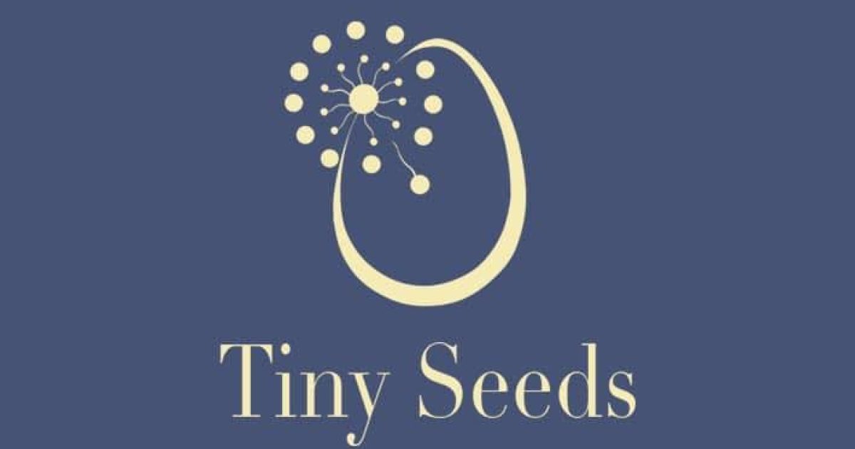 Tiny Seeds | A Voice For Fertility Service Users in Jersey